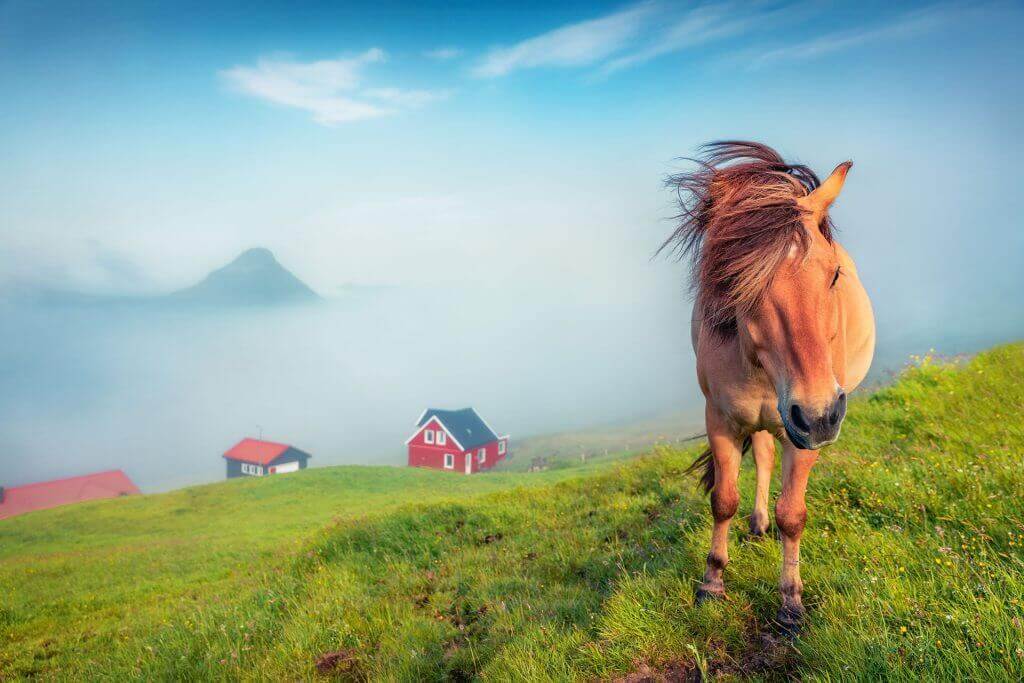 Denmark: New Applicant Location Opened for Fast-Track Scheme