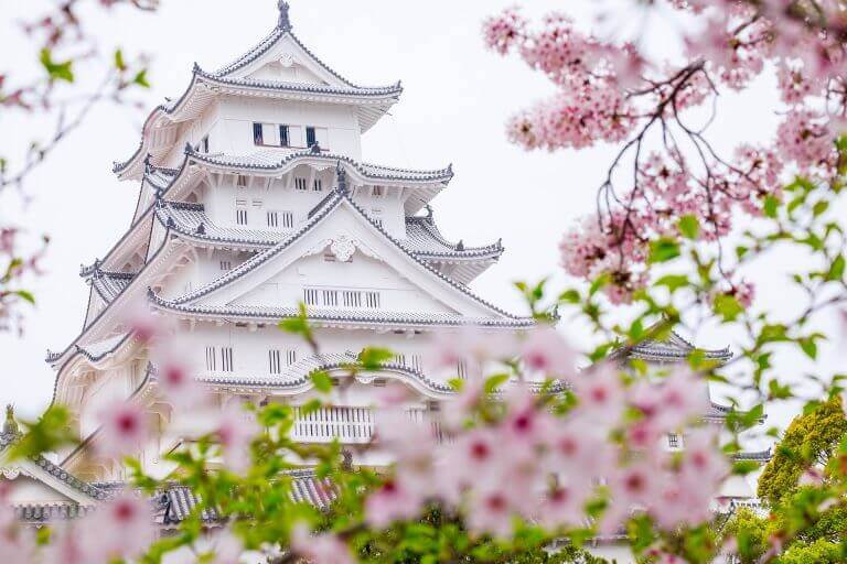 Japan: Support Measures for Those Impacted by Earthquake
