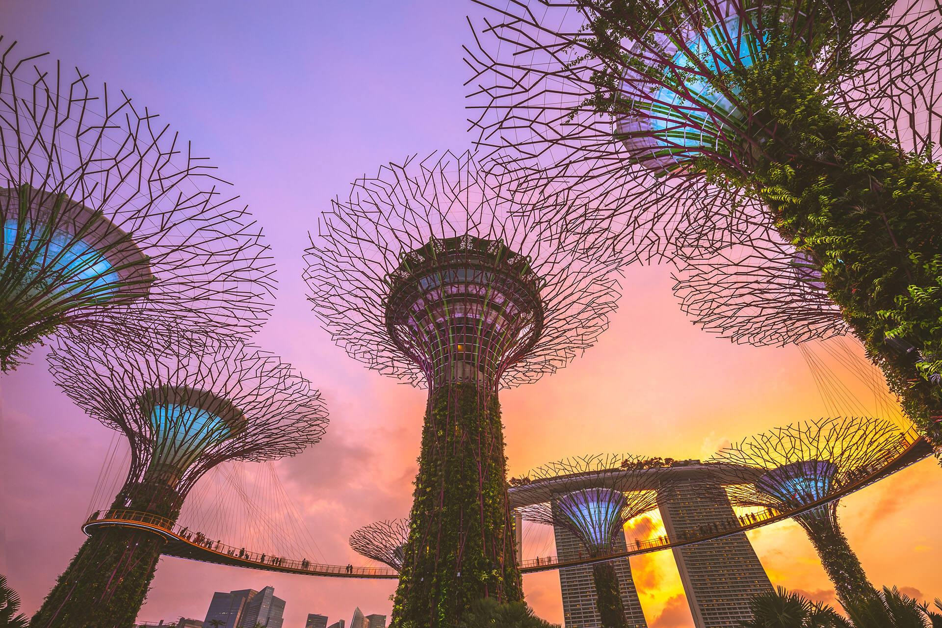 Singapore: NWC to Set 2025–2026 Wage Guidelines